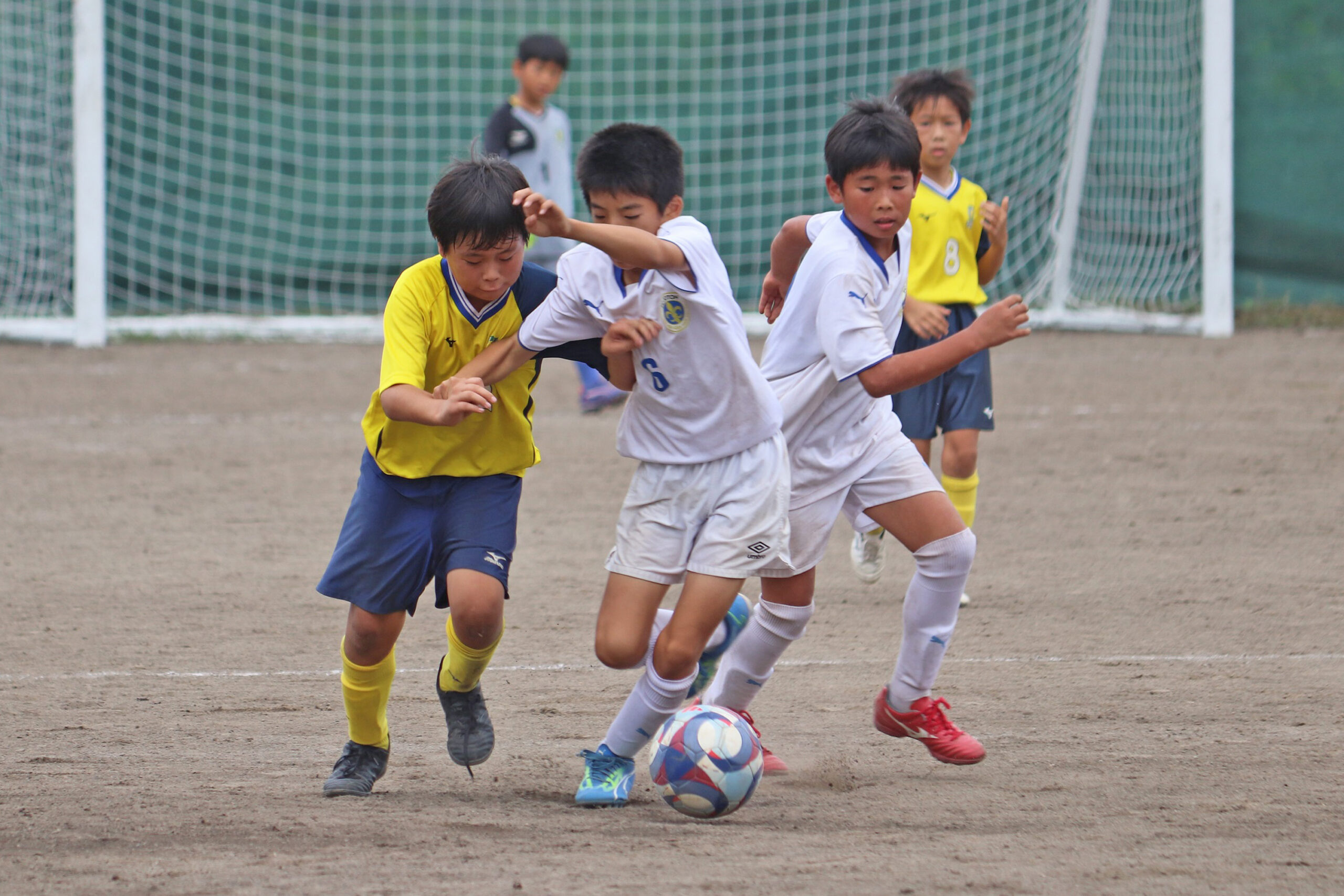 28チームが熱戦！「下都賀U-10チャレンジリーグ」 | TPsports タウンピックススポーツ 栃木県地域スポーツ