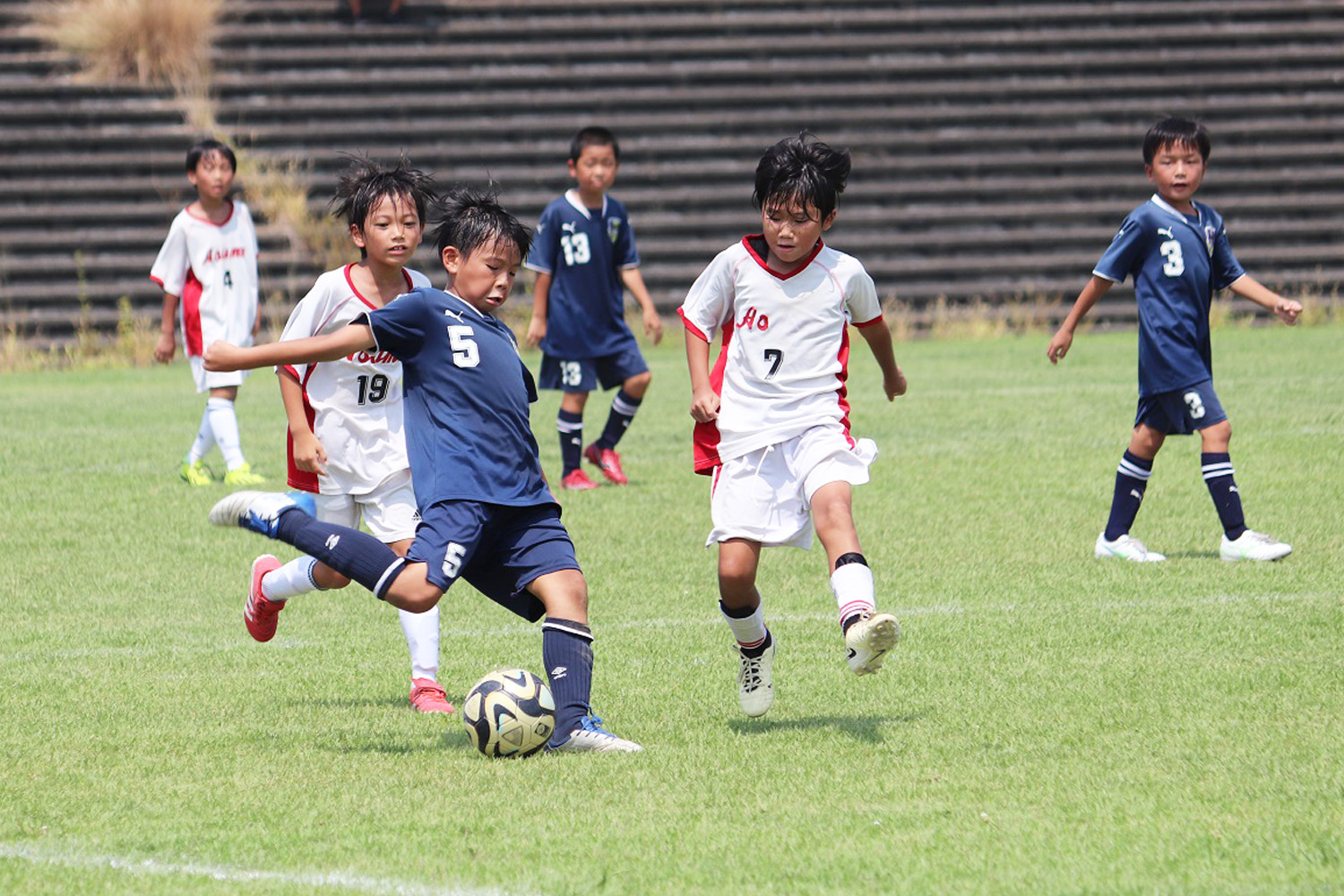 36チームが熱戦！「ガスワンカップ学童軟式野球栃木選手権大会」 | TPsports タウンピックススポーツ 栃木県地域スポーツ