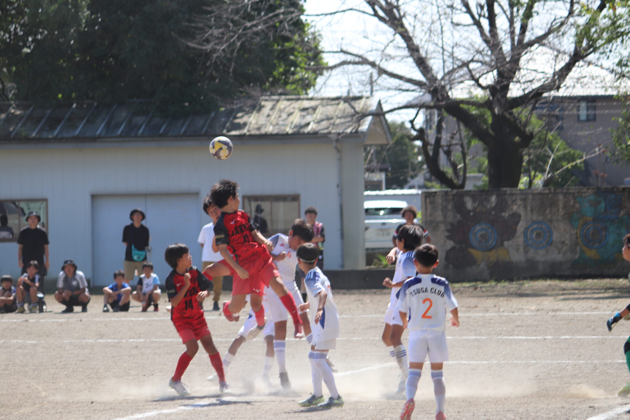 ともぞうSCが連覇！「佐野市サッカー協会会長杯」 | TPsports タウンピックススポーツ 栃木県地域スポーツ